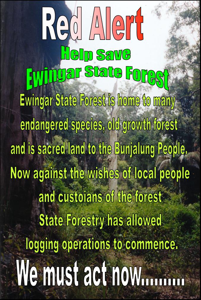 Ewingar Forest, a warm, temperate rainforest rich in biodiversity, is ...