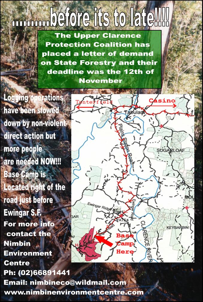 Ewingar Forest, a warm, temperate rainforest rich in biodiversity, is ...